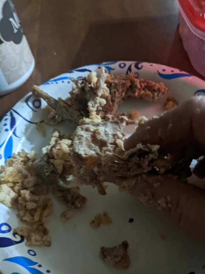 Squirrel - Cooked and Reheated - HubPages