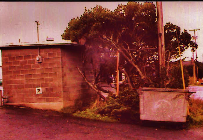 Christian Longo 7: The Murders - the Aftermath Chapter 7 - HubPages