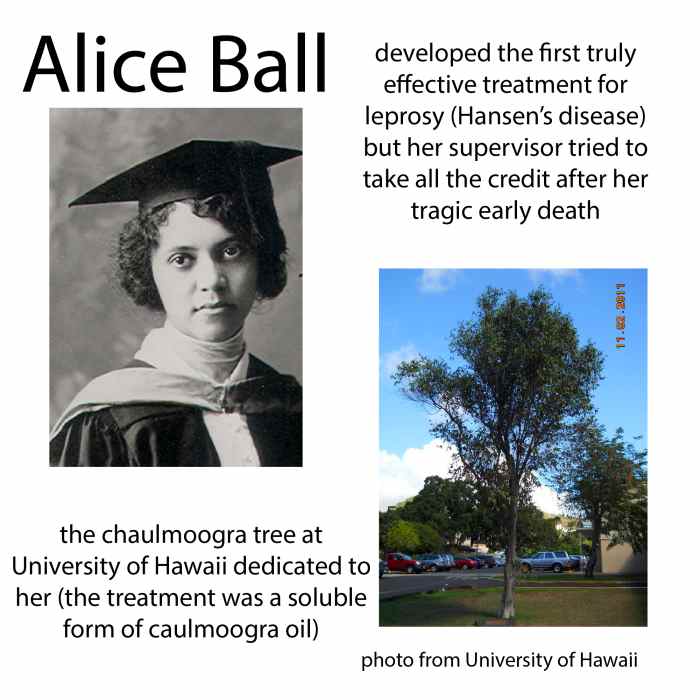 The Pioneer Of Leprosy Treatment: Alice Augusta Ball - HubPages