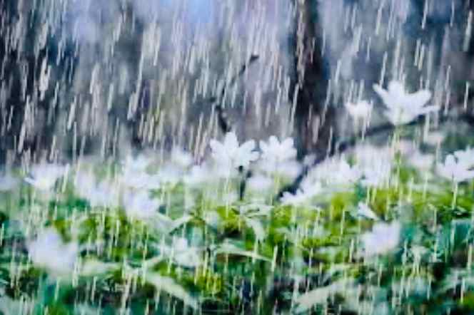 Fruitful Rain and Going the Way of All Flesh - HubPages