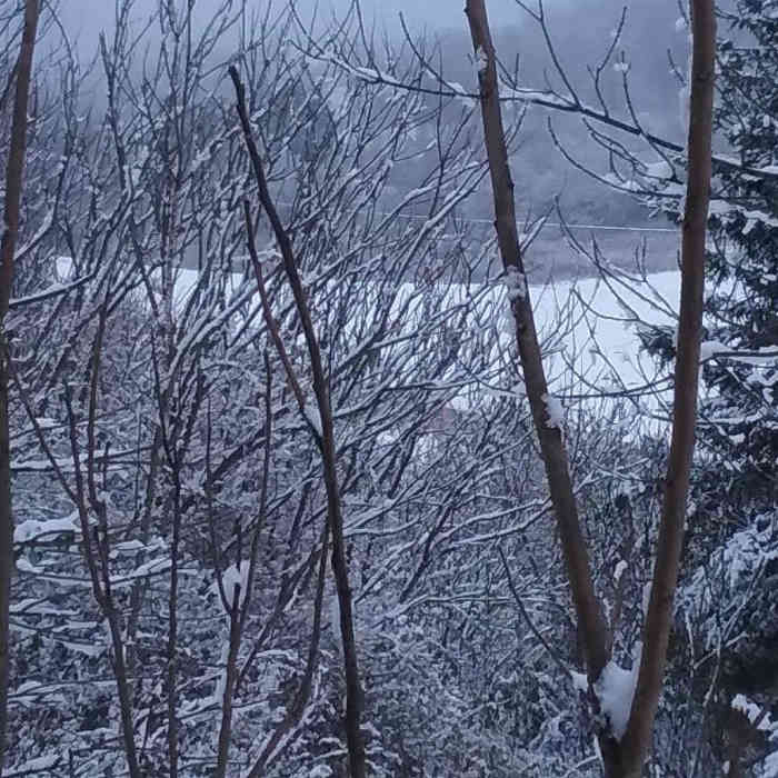 Respect Your Neighbors - LetterPile