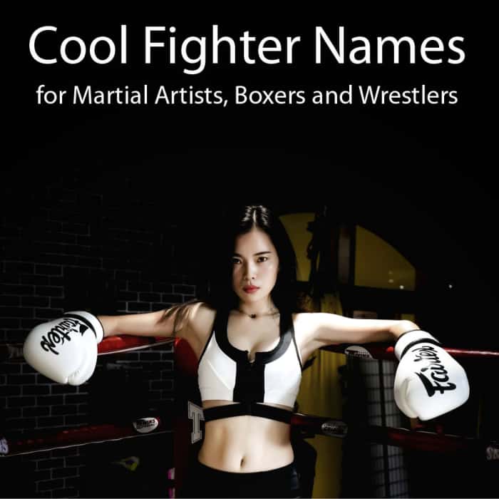 Cool Fighter Nicknames For Martial Artists Boxers And Wrestlers Cool Fighter Nicknames For Martial Artists Boxers And Wrestlers
