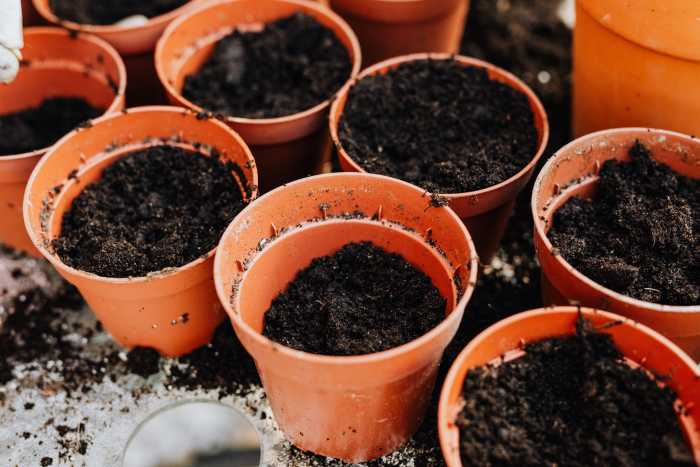 How to Sterilize Potting Soil by Baking It in the Oven - HubPages