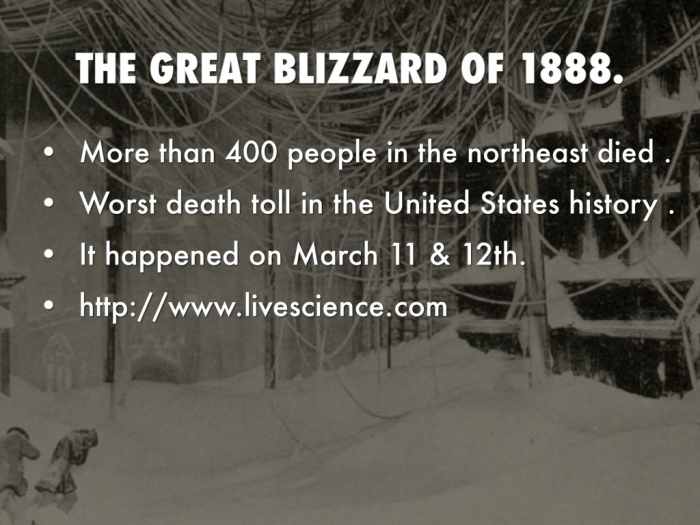 1888 a Disastrous Year of Blizzards:the Children's Blizzard and the ...