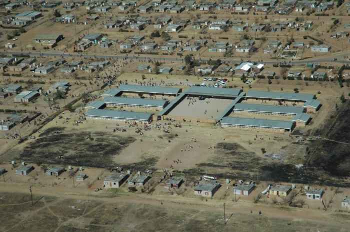 令人困惑和可疑的考古发现-猫头鹰 - 188jdc金宝搏