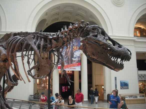 Dinosaurs and Highlights of the Field Museum: A Chicago Family Day Trip ...
