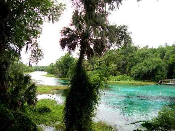 Visit Rainbow Springs State Park in Dunnellon, Florida - HubPages