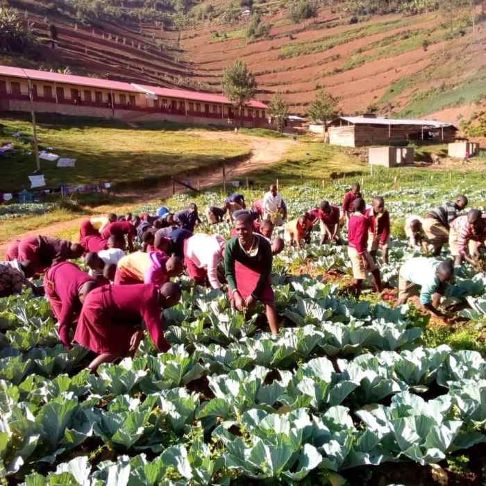 About the Kigezi Orphans Home - HubPages