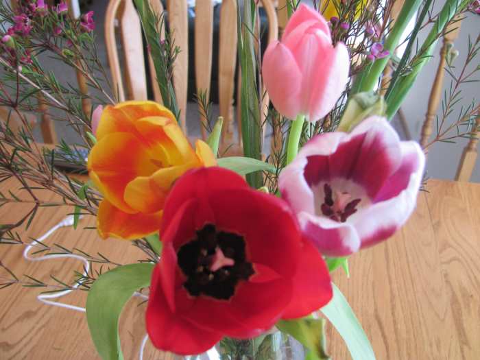 Spring Reflections-Poem - HubPages