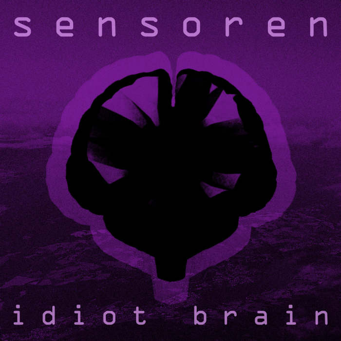 Synth Album Review: "Idiot Brain" by Sensoren - HubPages