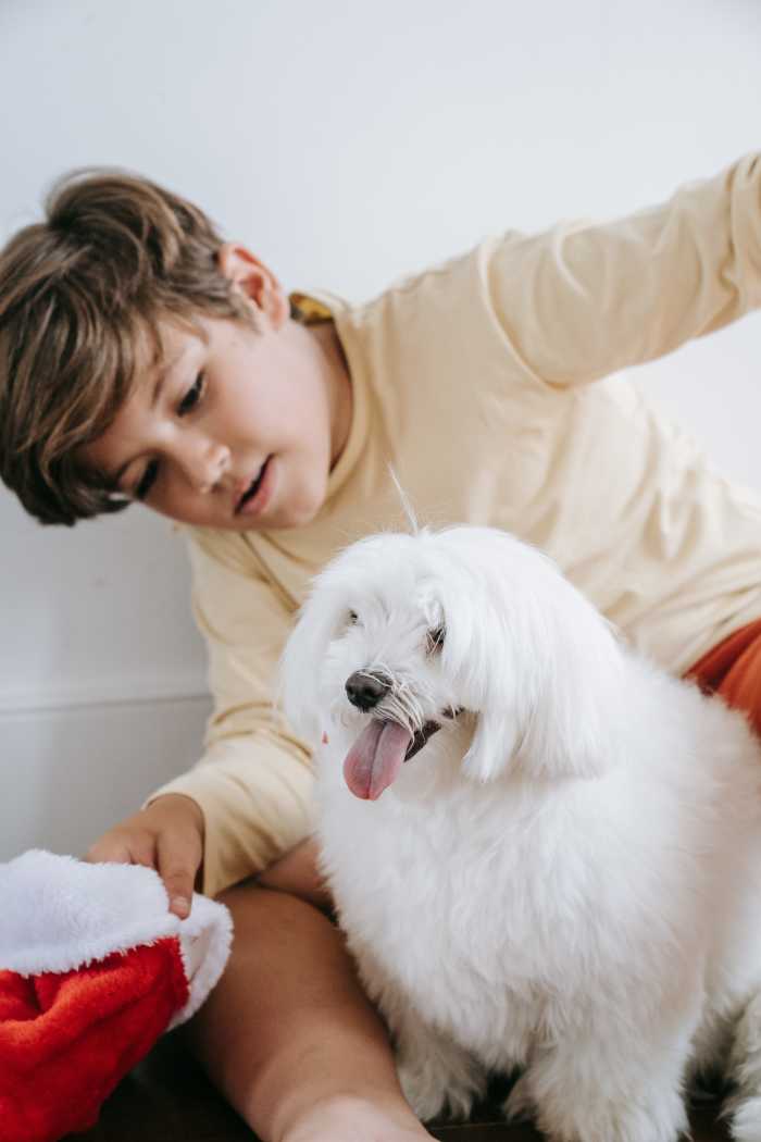 6 Benefits Of Raising Pets With Children - HubPages