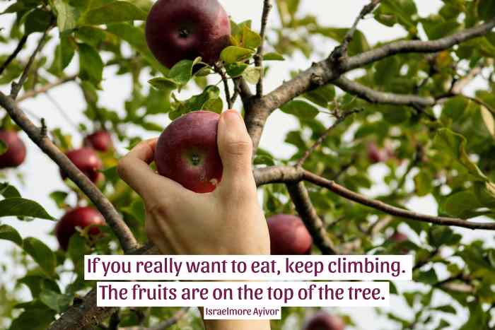 30 Tree Quotes With Wise Principles to Live By - HubPages