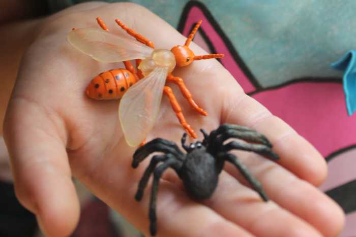 Insects and Spiders Hands-on Lesson Plan for Elementary Ages - HubPages