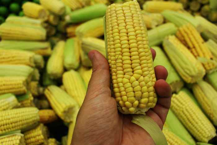 Yellow Corn Benefits: The Most Important and Best Benefits of This ...