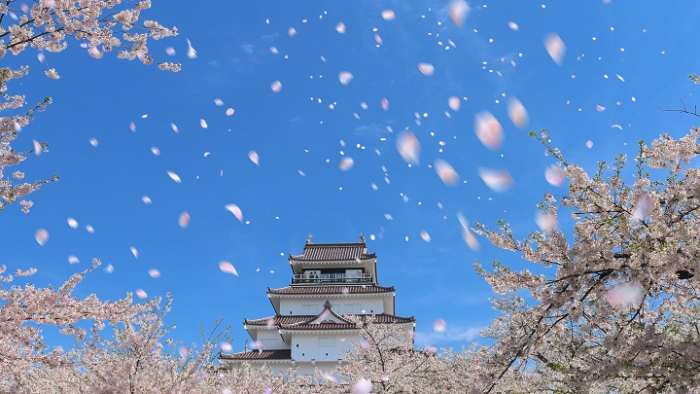 April is National Poetry Month: Haiku-A-Day Challenge - HubPages