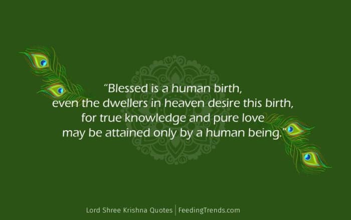Poem - Birth .... Ponderings On One Of The Most Contemplated Topics ...