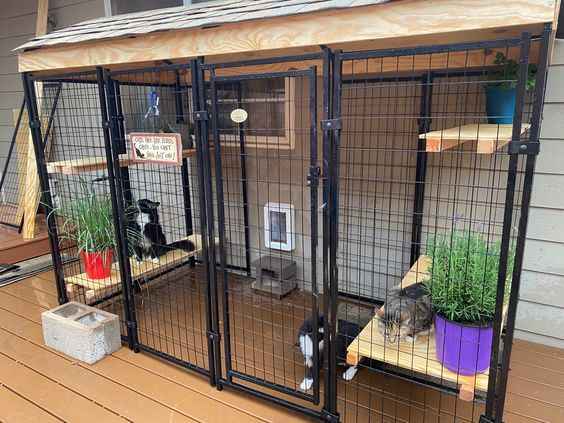 30+ DIY Catio Ideas That Are Totally Pawsome - HubPages