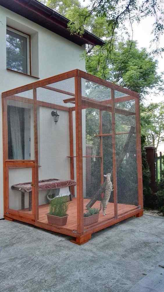 30+ DIY Catio Ideas That Are Totally Pawsome - HubPages