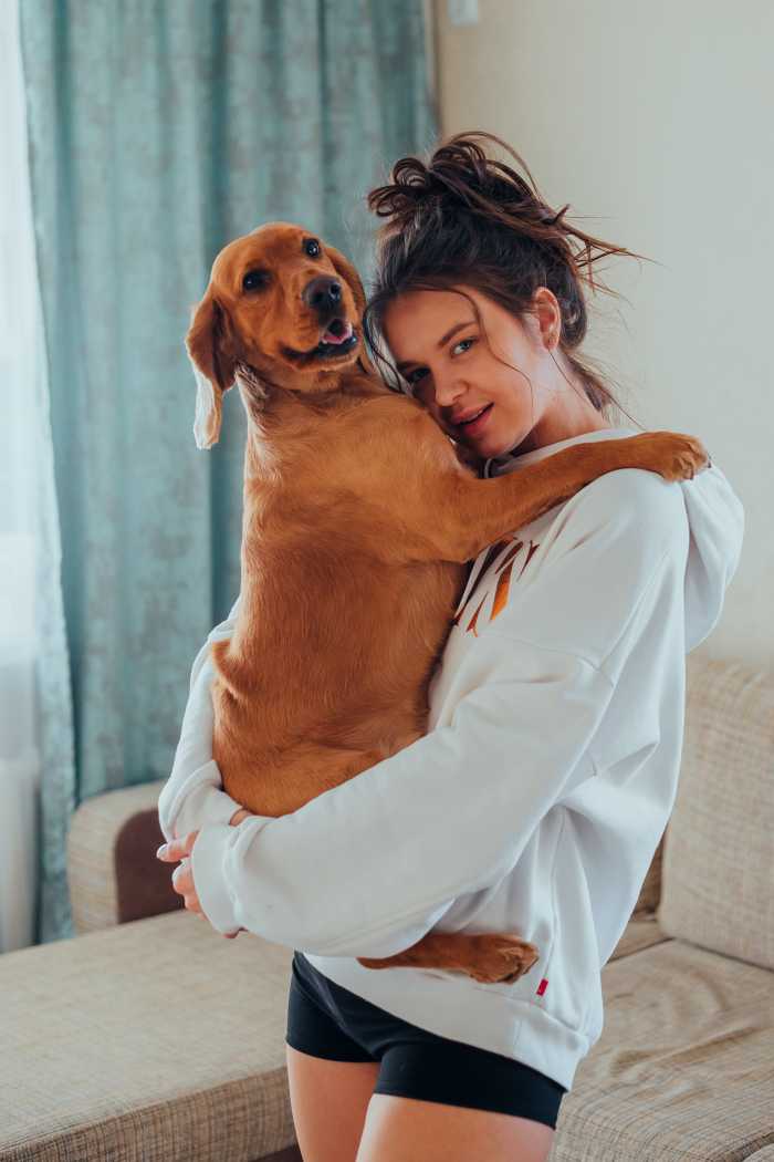 Why Pets Are Attached To Their Owners - HubPages