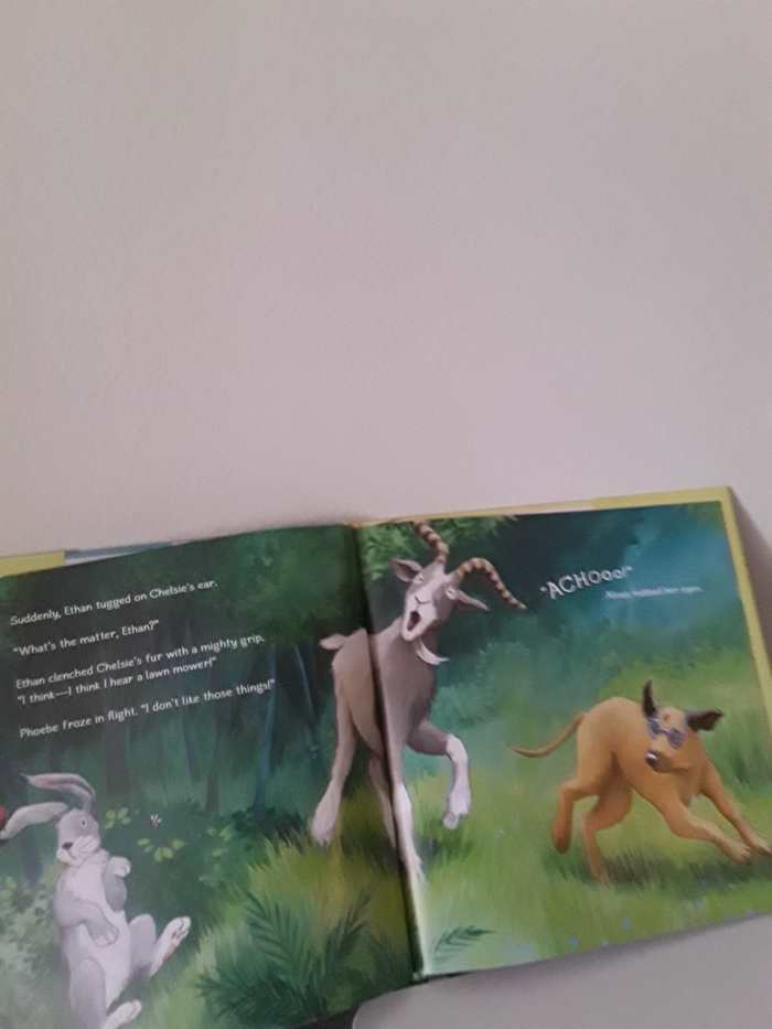 Tim Tebow's New Picture Book With Lesson in Helping Others - HubPages