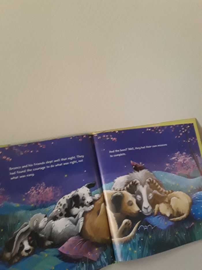 Tim Tebow's New Picture Book With Lesson in Helping Others - HubPages