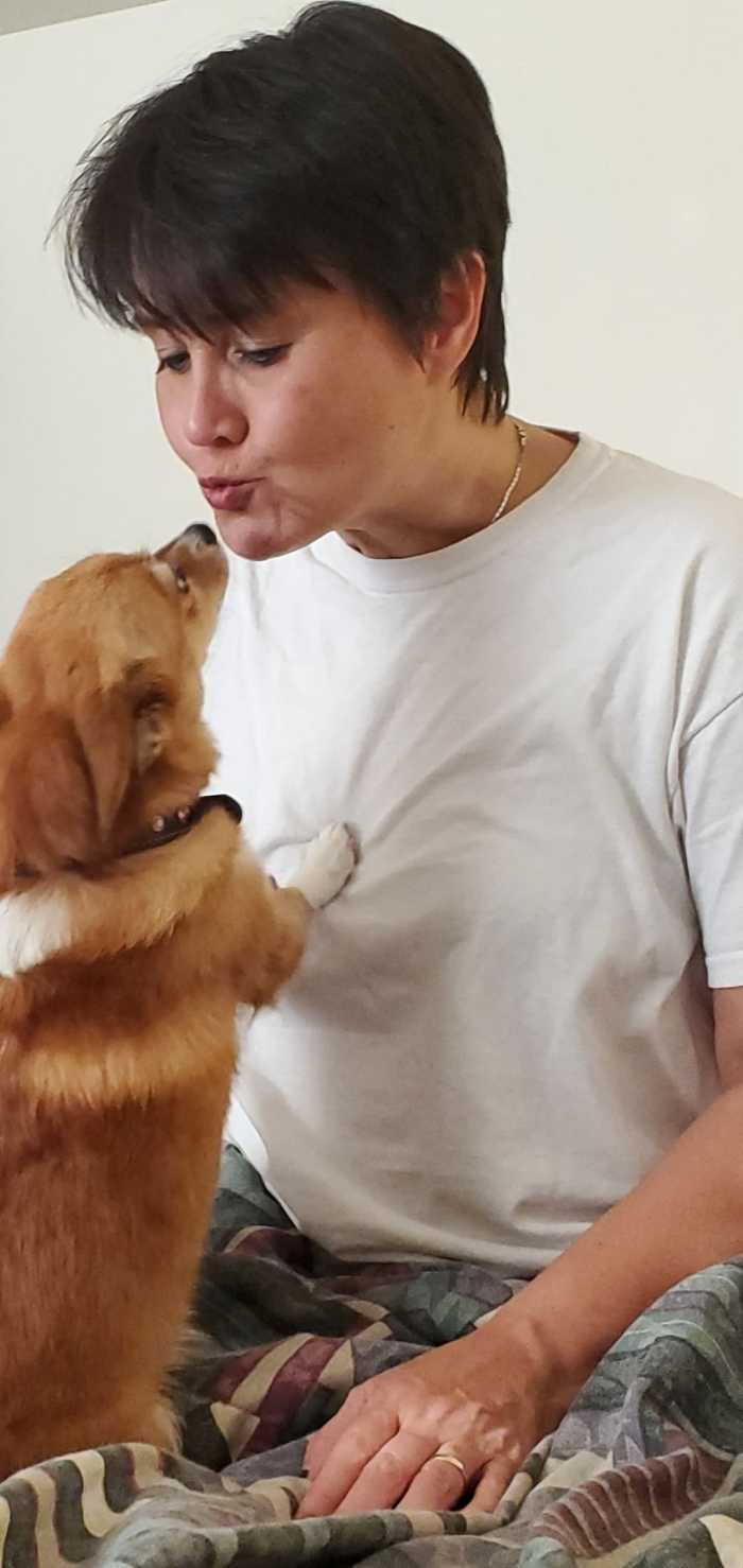 A Day in the Life of a Beloved Family Dog. From My Perspective. - HubPages