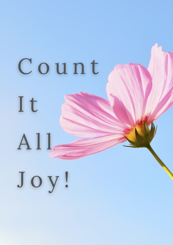 What Joy is This? - HubPages