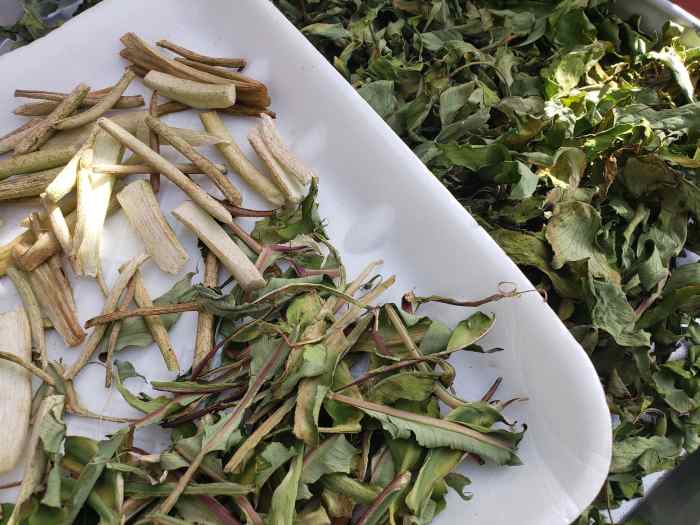 Growing And Consumption of Taro, How to Properly Prepare Taro Stems for ...