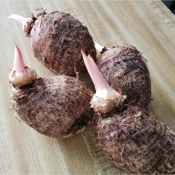 Growing And Consumption of Taro, How to Properly Prepare Taro Stems for ...