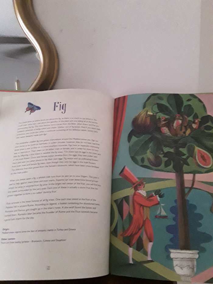 Fruits, Fairytales, and Fun facts About Fruits in Stunningly ...