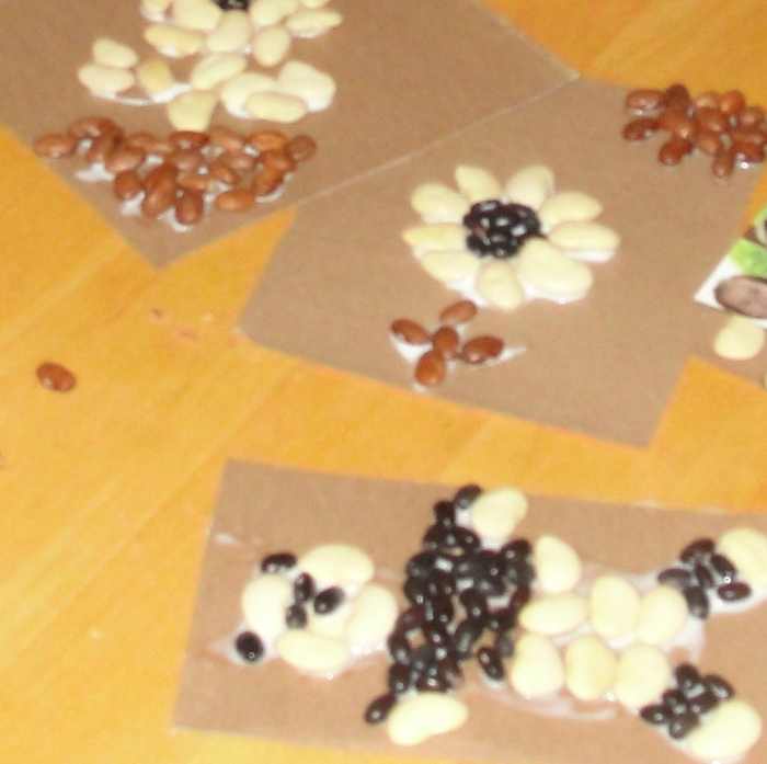 Seeds and Germination Lesson Plan on Plants for Elementary - HubPages