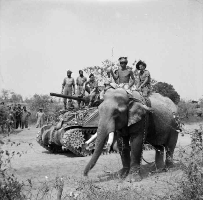 Lieutenant Colonel James Howard Williams and His Elephant Corps in ...