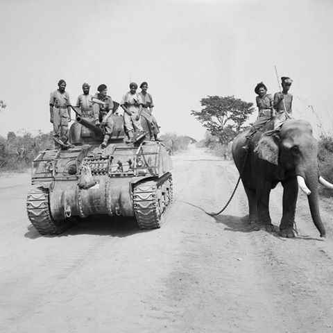 Lieutenant Colonel James Howard Williams and His Elephant Corps in ...