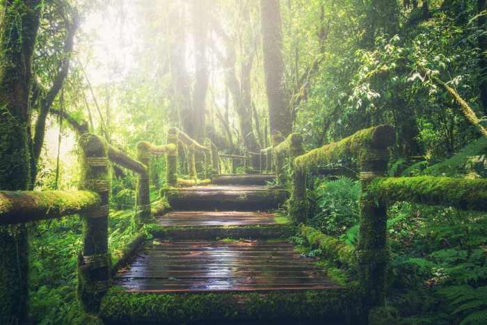 Imagination - HubPages