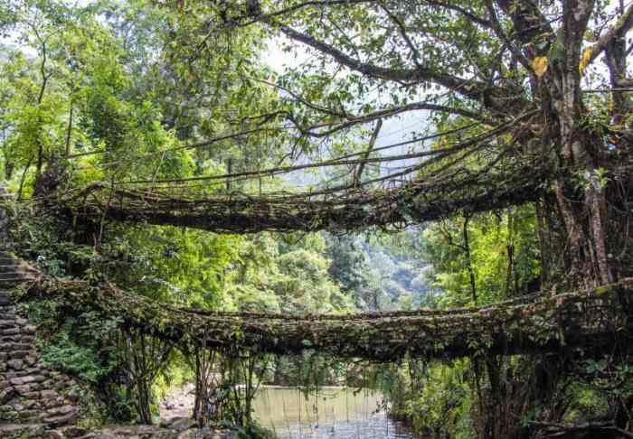 North East – the Land of Undulating Scenic Beauty - HubPages