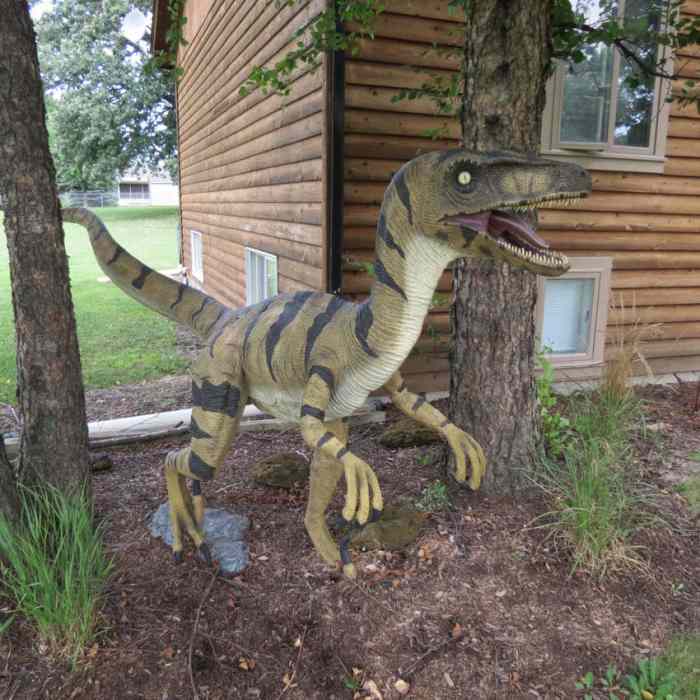 Pet Velociraptor Care With Valuable FAQs - HubPages