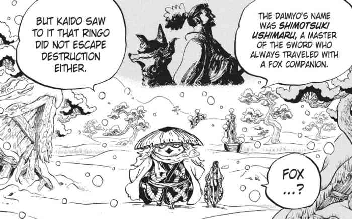 10 Unsolved Mysteries in the Wano Arc of One Piece Manga - HubPages