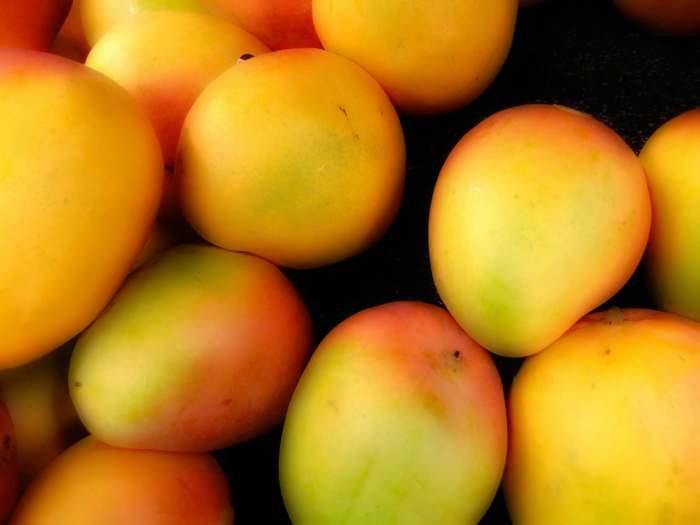 8 BeFunky Photo Effects Tutorial - HubPages