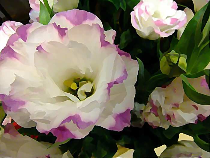 8 BeFunky Photo Effects Tutorial - HubPages