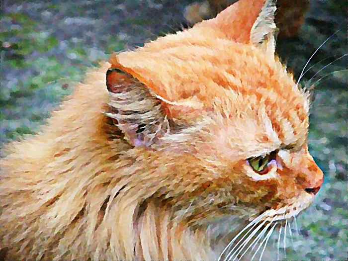 8 BeFunky Photo Effects Tutorial - HubPages