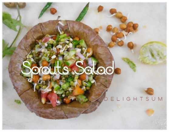 Mixed Sprouts Salad- a Savoury Indian Snack - HubPages