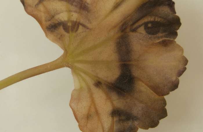 Moving Beyond Digital Photography: Exploring Alternative Photography ...