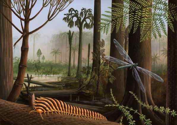 The Carboniferous Period: When Giant Insects Ruled the Land and Sky ...