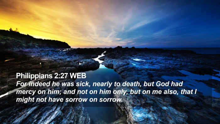 Using the Dimmed Light Seen #5 - HubPages