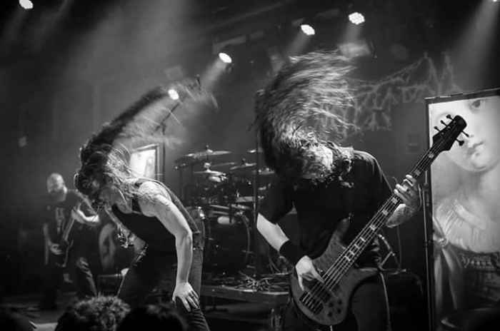 Grind `em All (Introduction) - HubPages