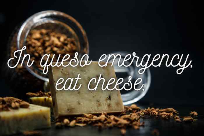 150+ Cheese Quotes and Caption Ideas for Instagram - HubPages
