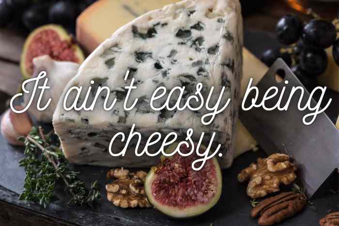 150+ Cheese Quotes and Caption Ideas for Instagram - HubPages