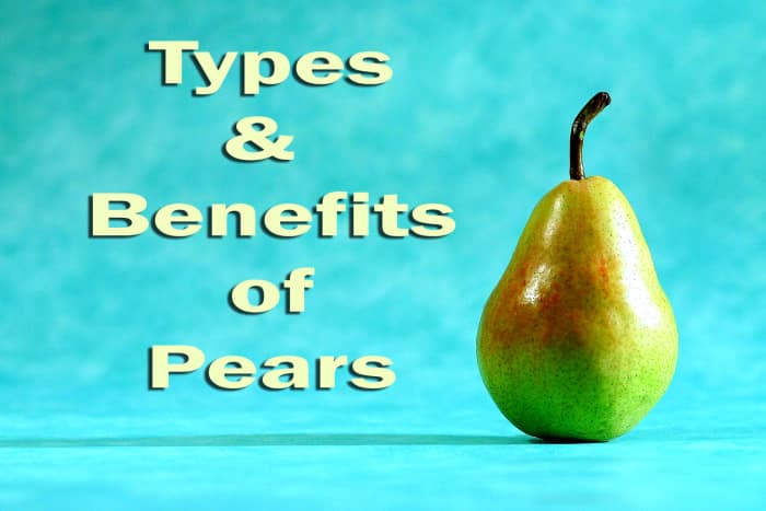 The Amazing Pear: A Diverse and Healthy Fruit - HubPages