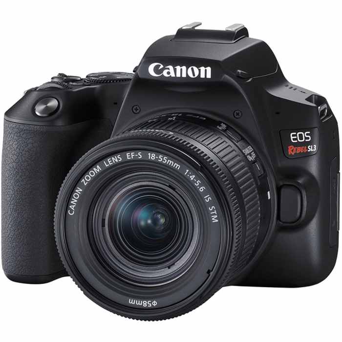 Best Canon Digital Cameras in 2021 - HubPages