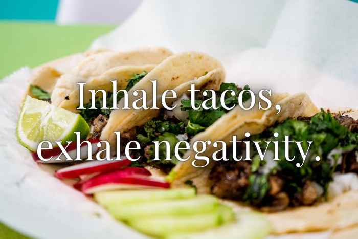 150+ Taco Quotes and Caption Ideas for Instagram - HubPages